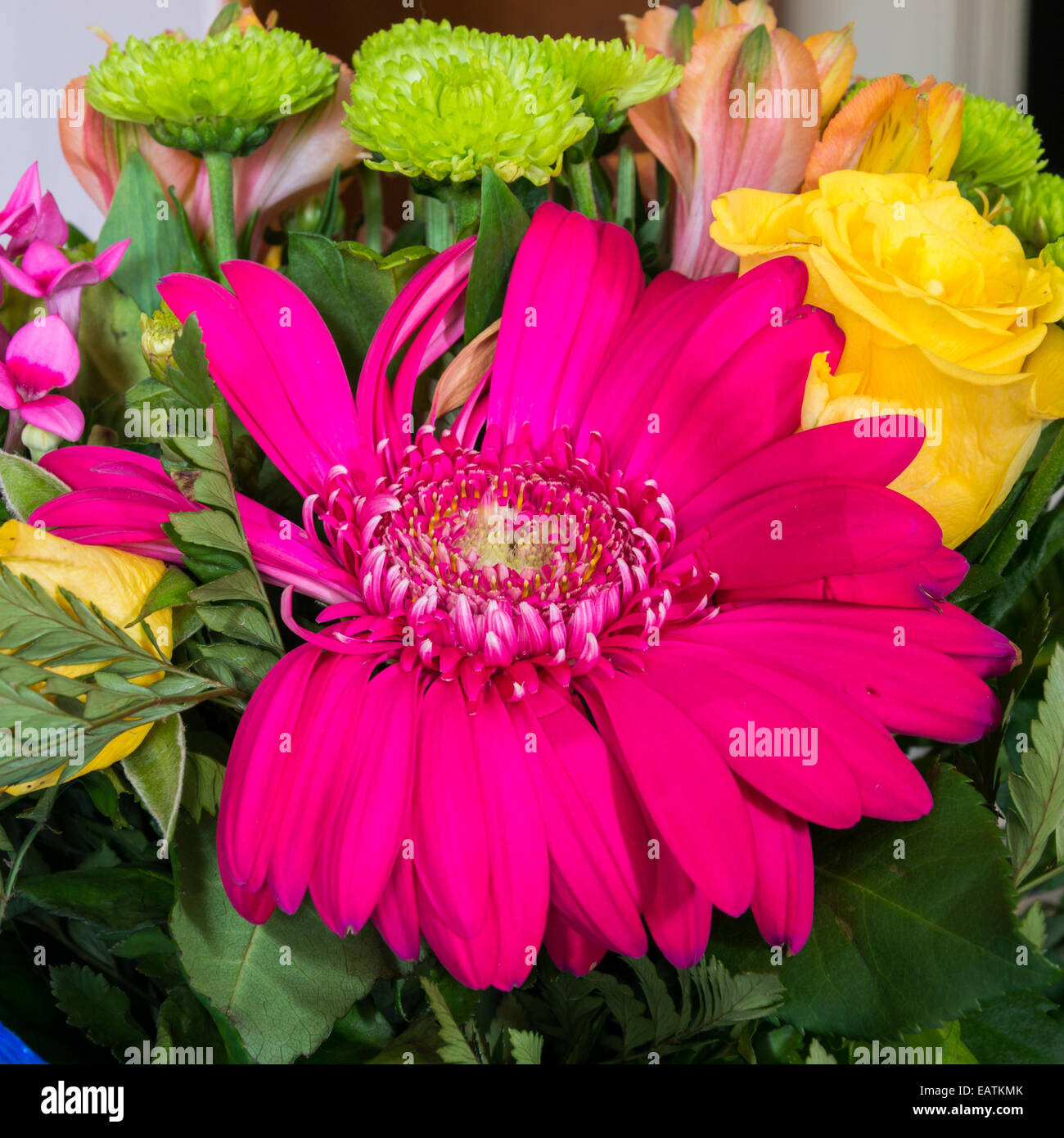 Bouquet of various colorful flowers Stock Photo - Alamy