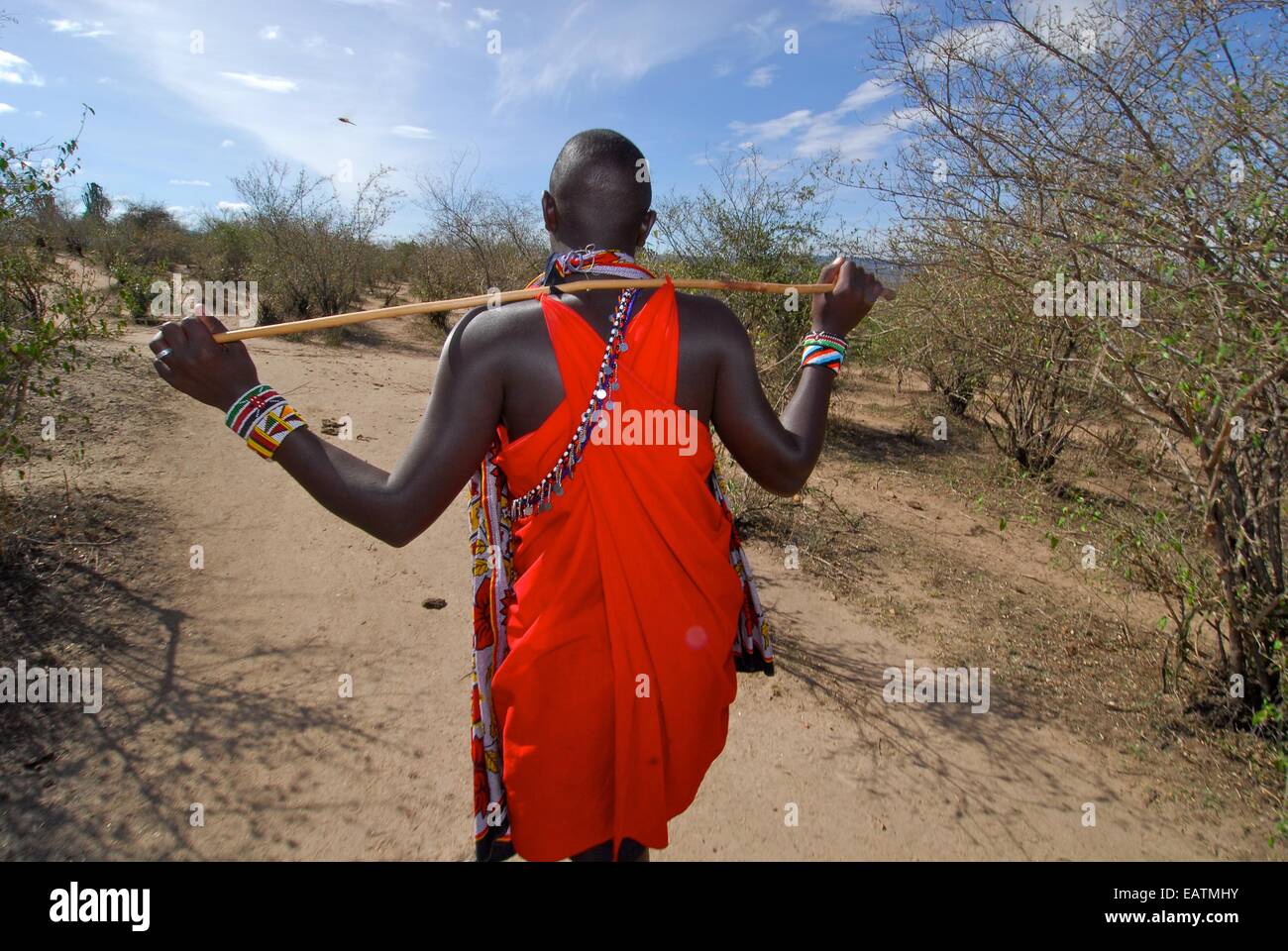A Masai shepherd Stock Photo - Alamy