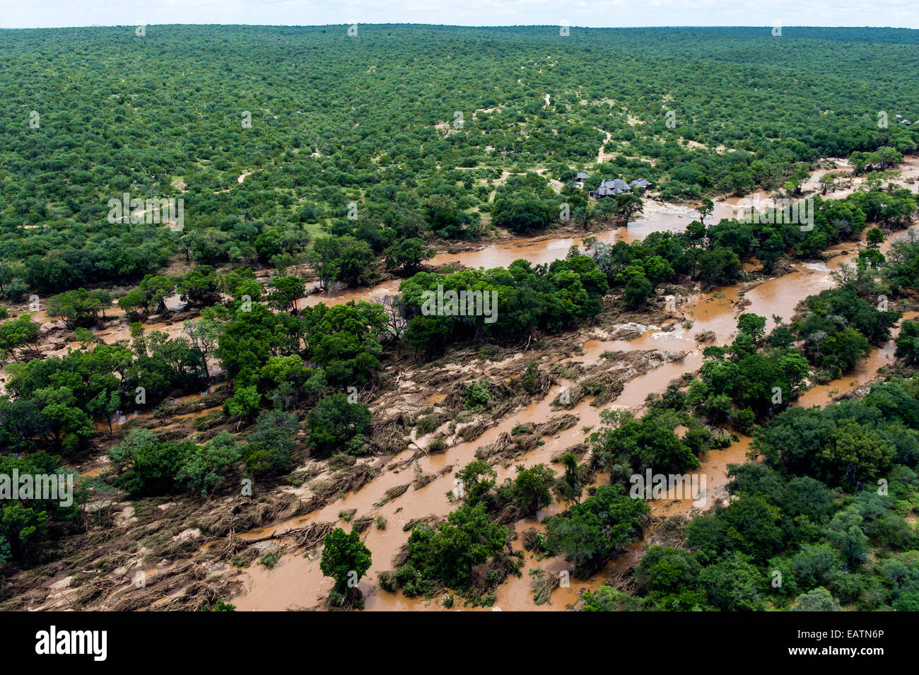 Flooded rivers carry soil, silt and debris through dense forests Stock ...