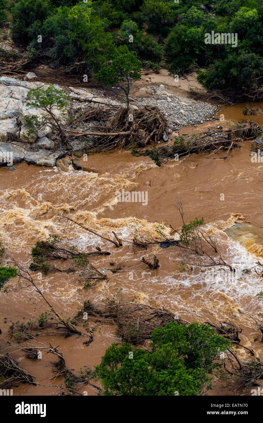 Raging flood waters carrying soil, silt and debris through a forest ...