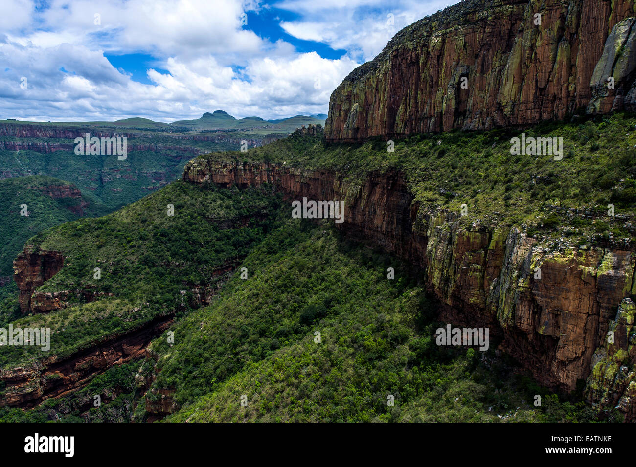 Rugged mountain canyons and cliffs shrouded in dense primeval forest ...