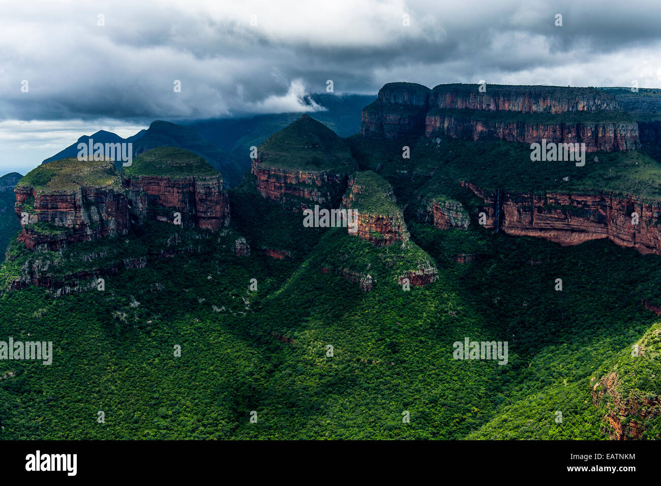 Rugged mountain canyons and cliffs shrouded in dense primeval forest ...