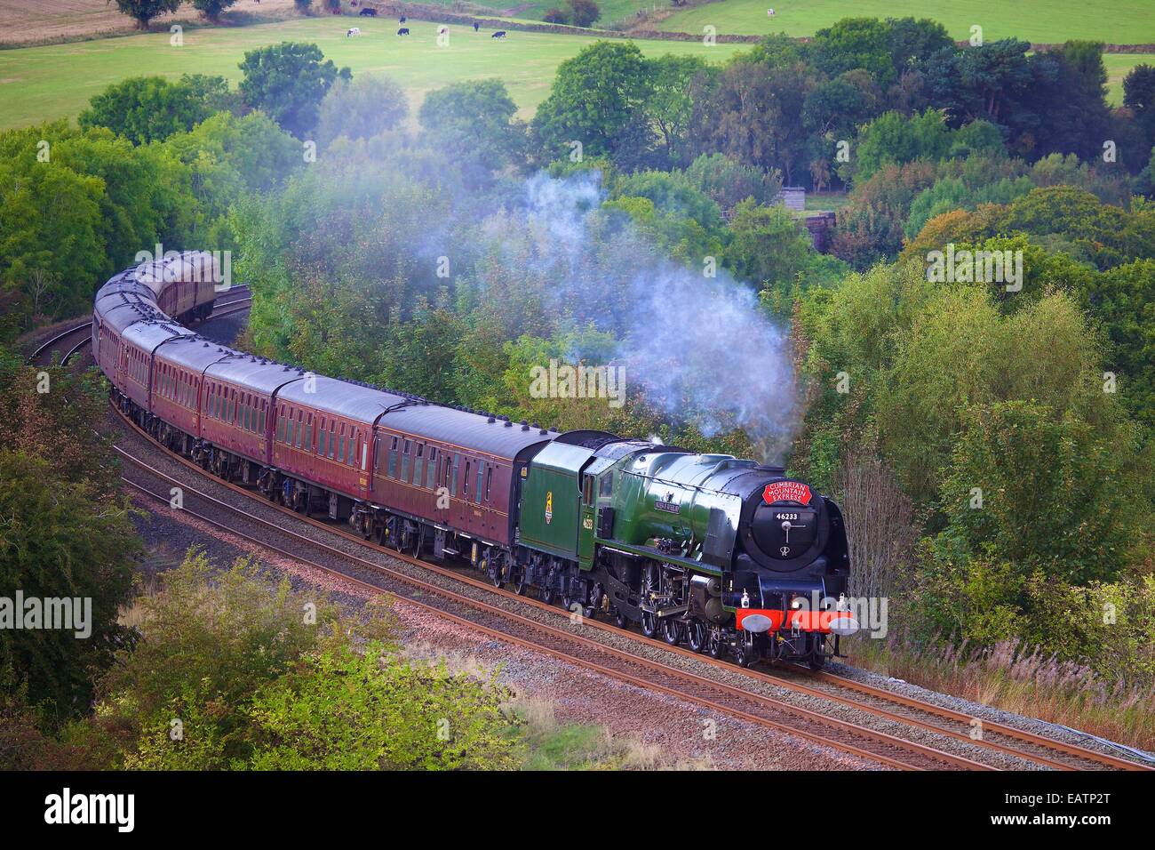Steam locomotive Duchess of Sutherland near Low Baron Wood Farm ...