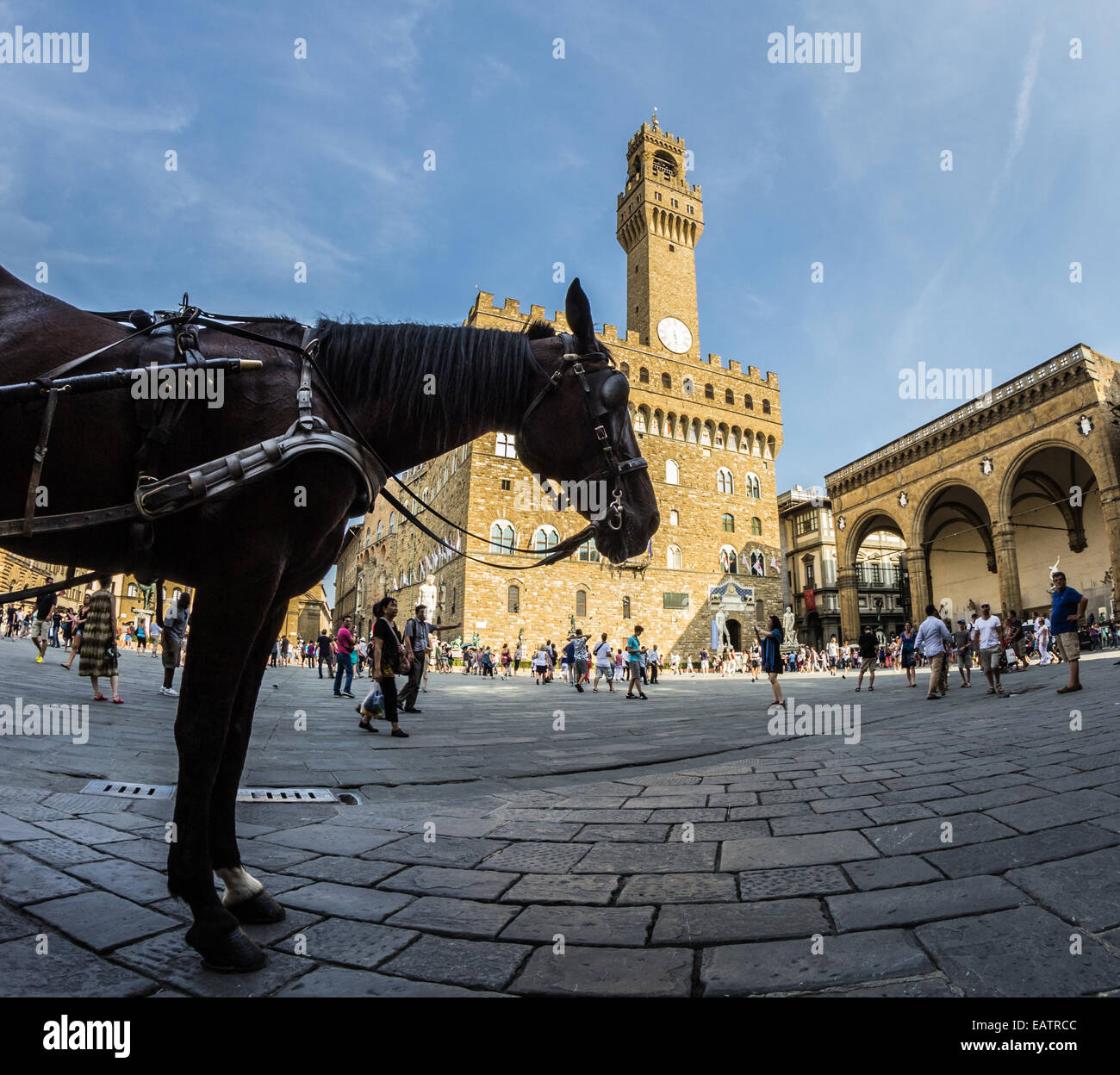A famous square in Florence Stock Photo - Alamy