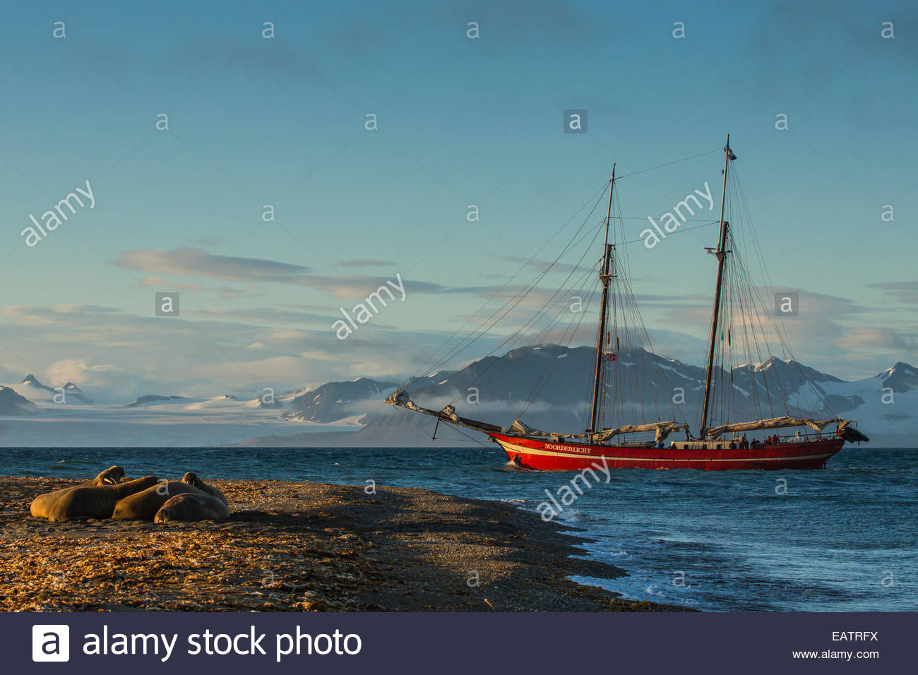 A tall-masted schooner, the Northern Light, anchored off a beach Stock ...
