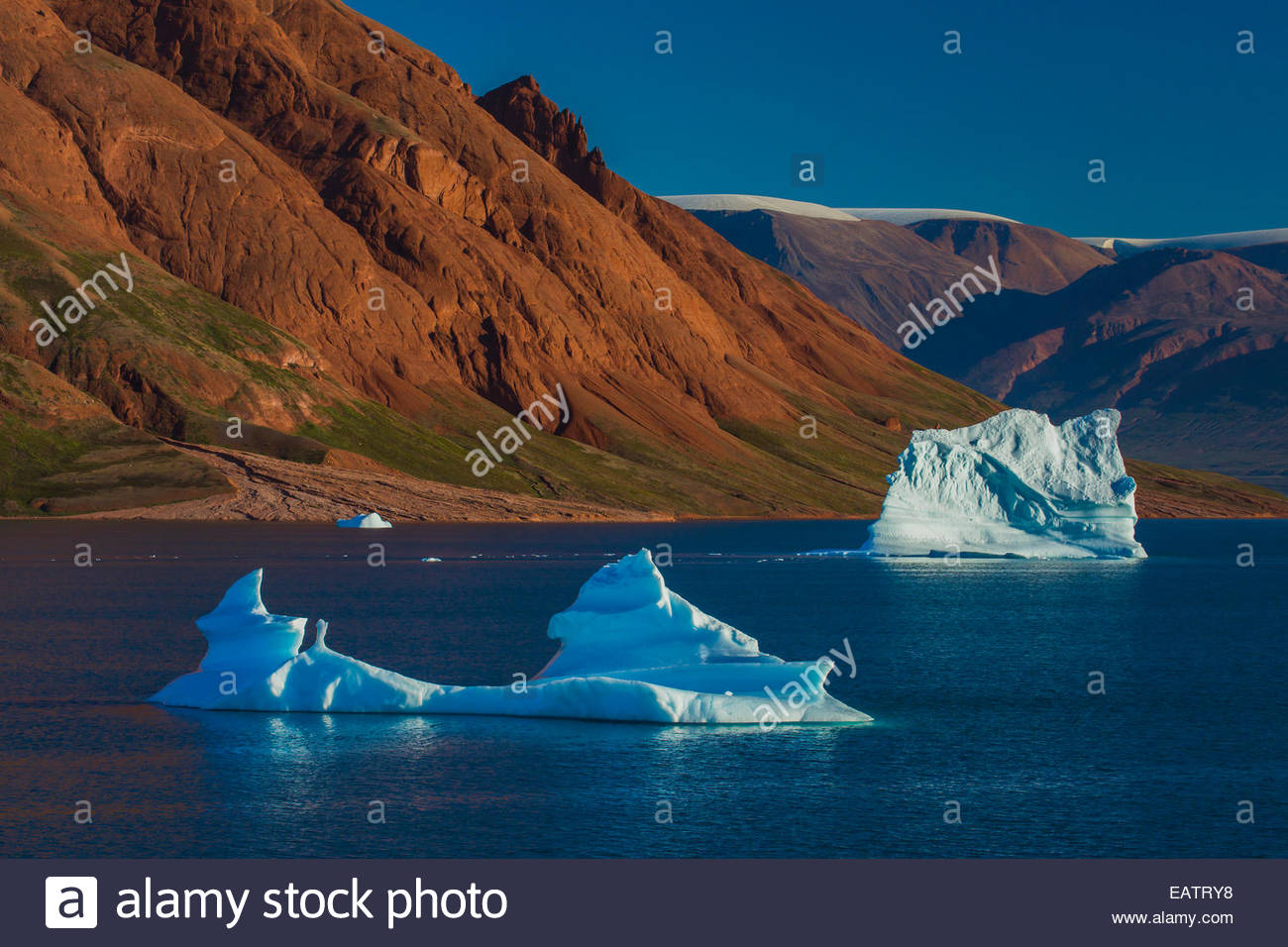 Icebergs float off shore of Red Fjord Stock Photo - Alamy