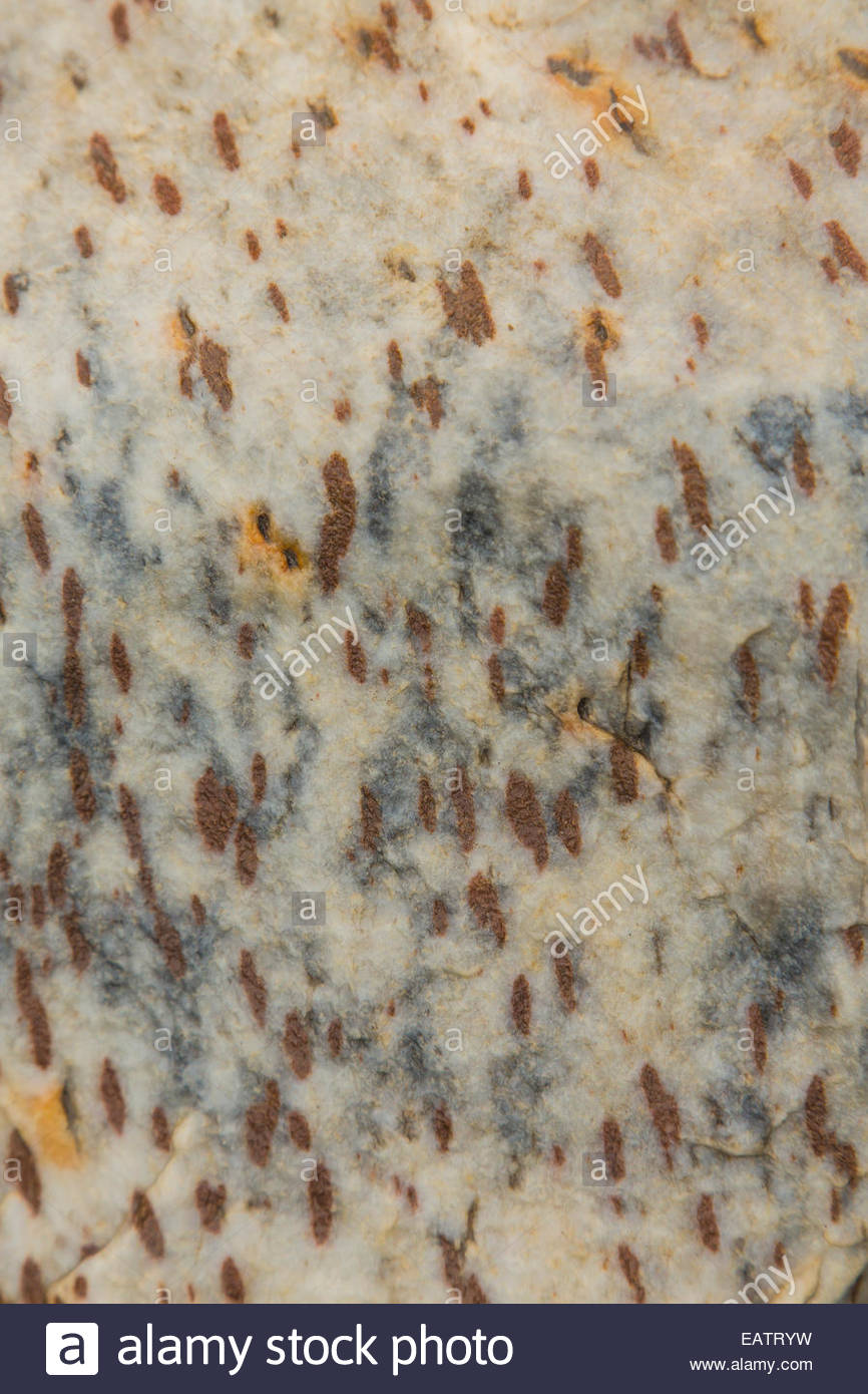 Close up of quartz Stock Photo - Alamy