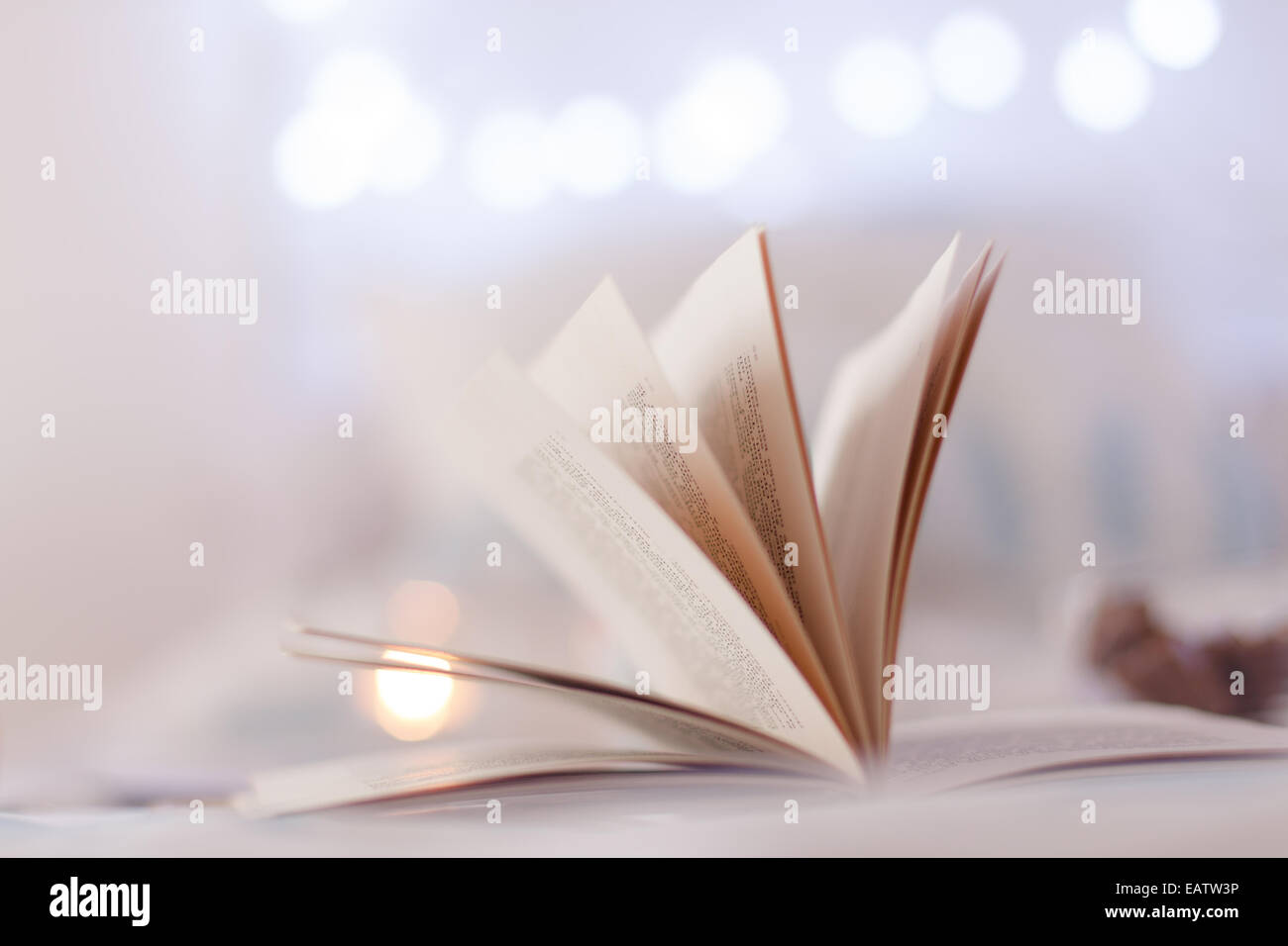 Named book hi-res stock photography and images - Alamy