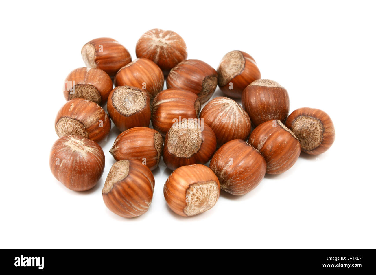 Hazelnut in shell hi-res stock photography and images - Alamy