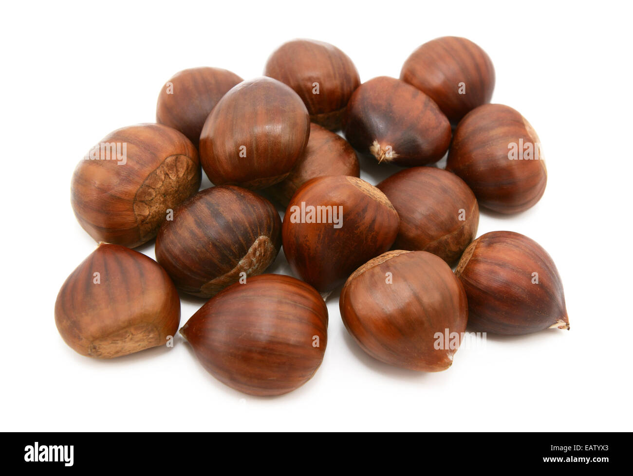Sweet chestnuts in shells, isolated on a white background Stock Photo ...