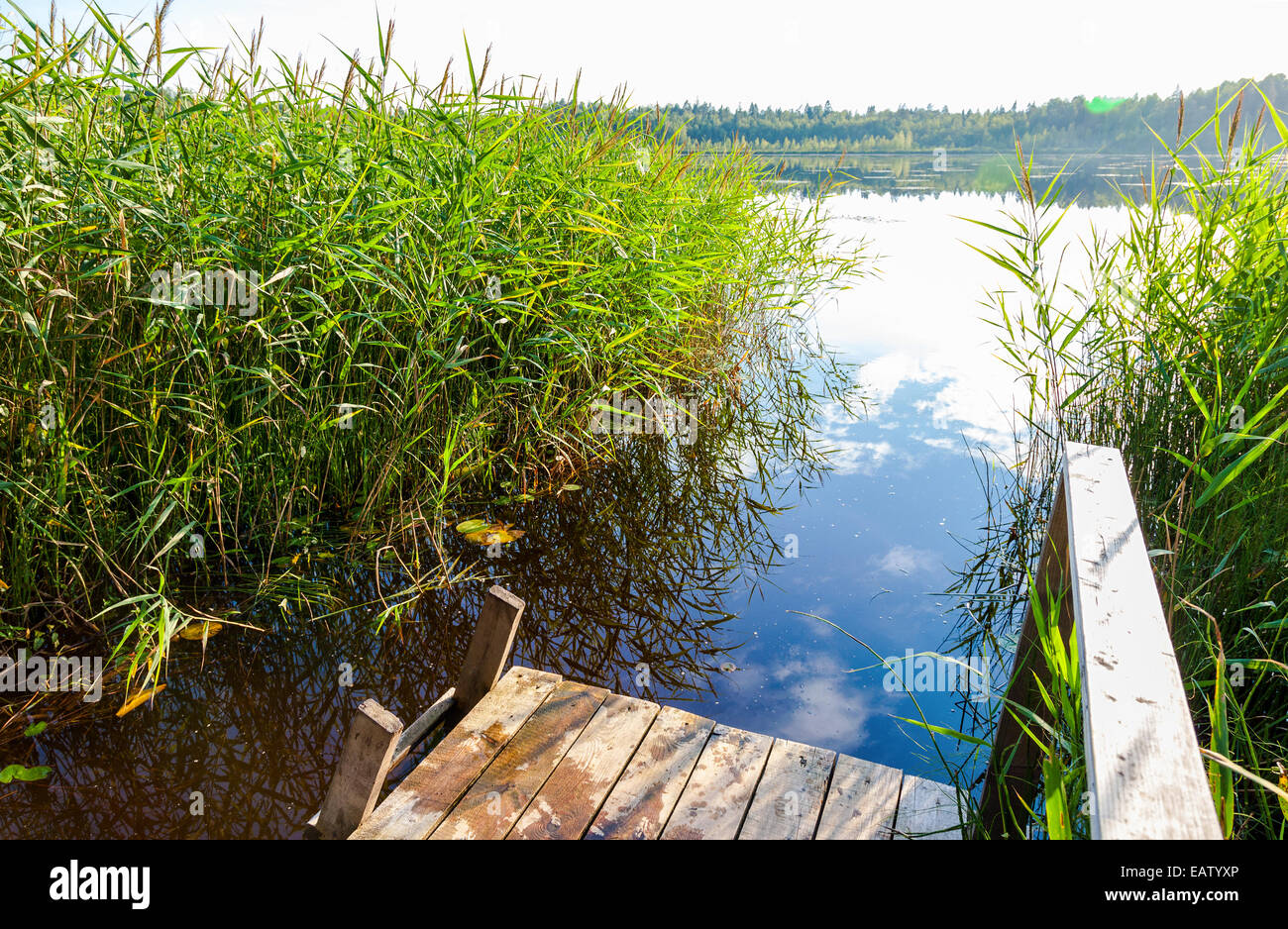 Summer landscape with lake and wooden bridge Stock Photo - Alamy