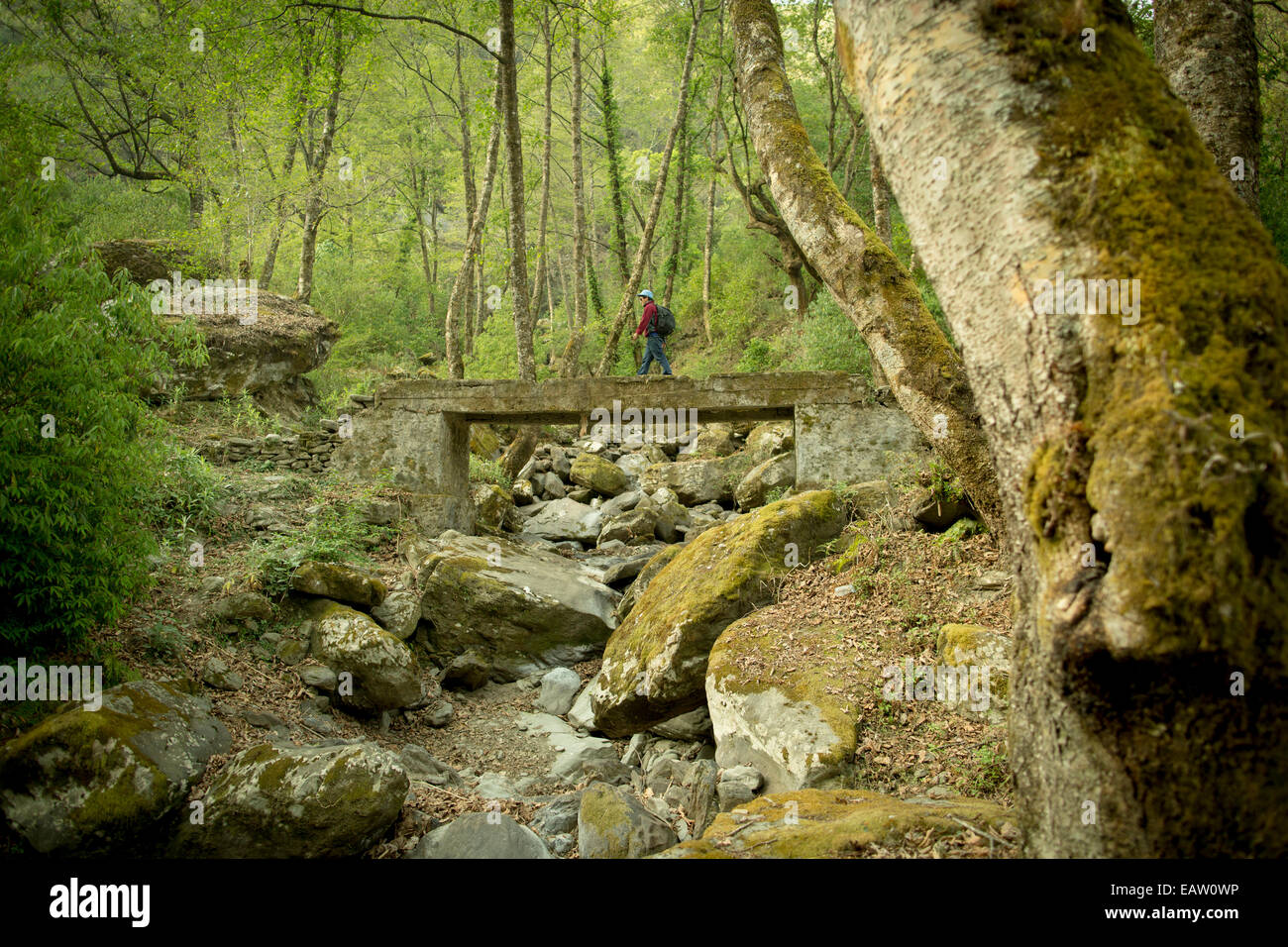 A Sherpa guide crosses a bridge in the Himalayas to Gosaikunda in the ...