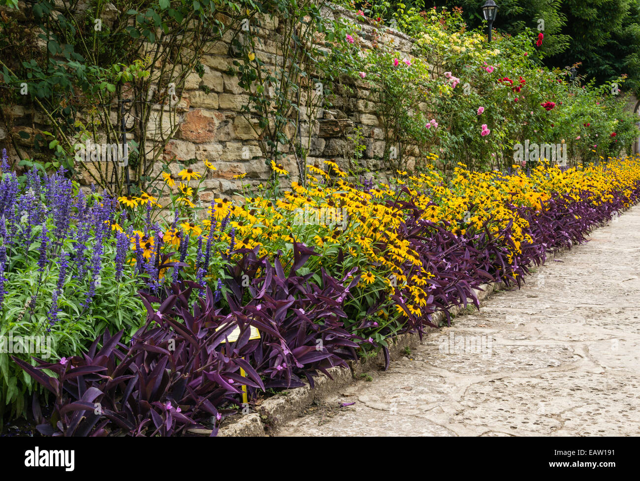 Primrose trail hi-res stock photography and images - Alamy