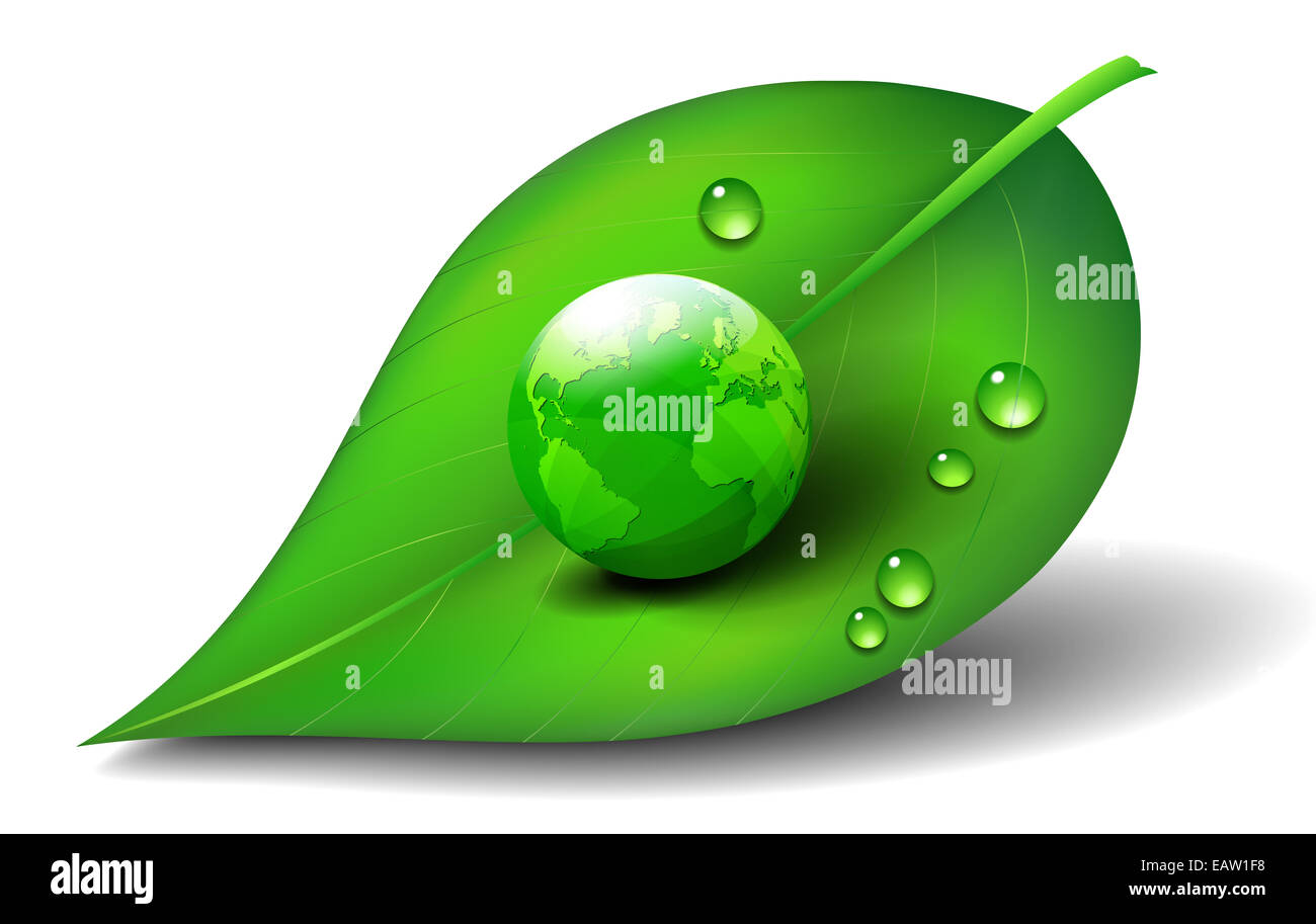 Bio eco tree leaf hi-res stock photography and images - Alamy