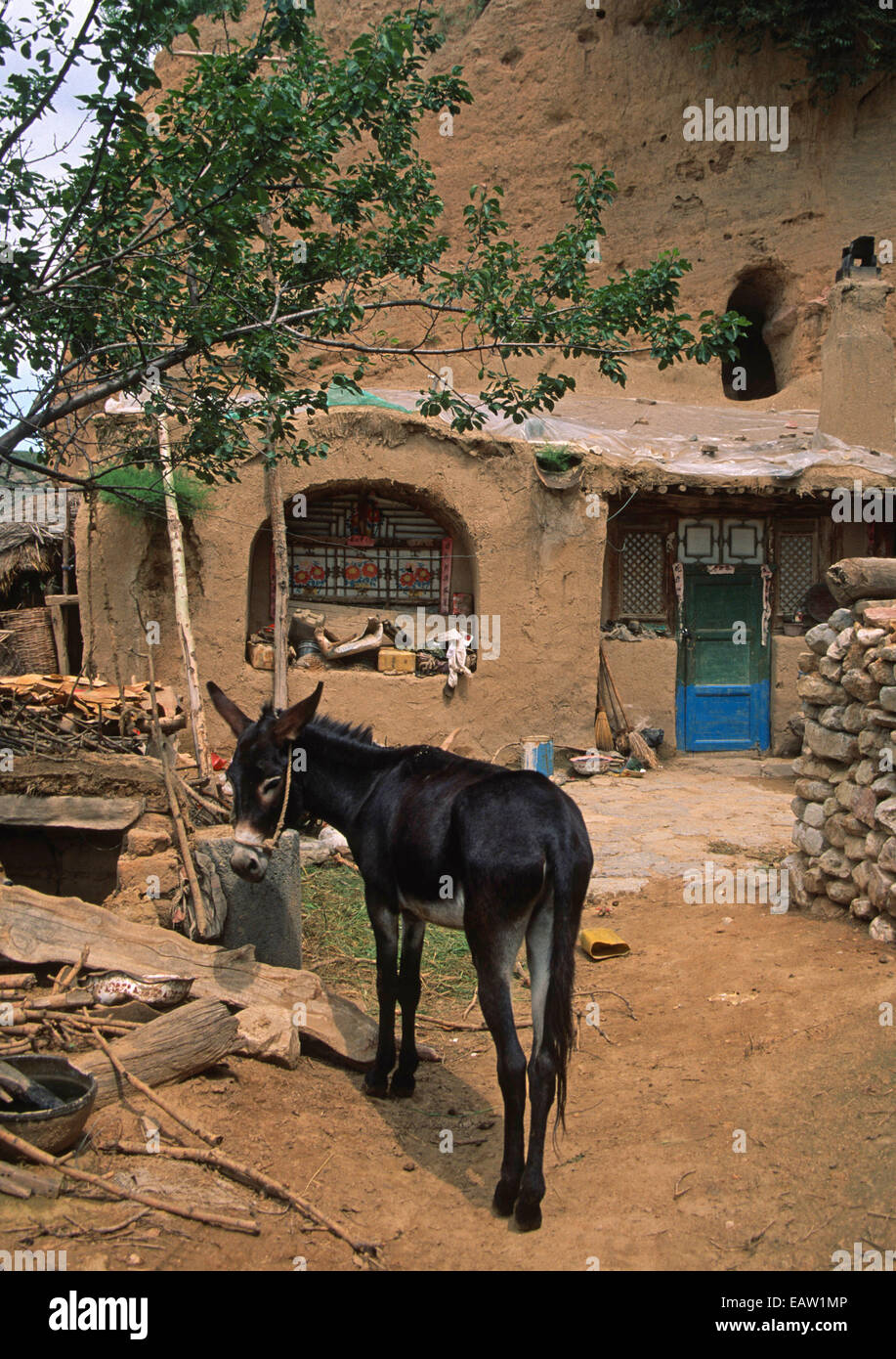Cave houses in shanxi hi-res stock photography and images - Alamy