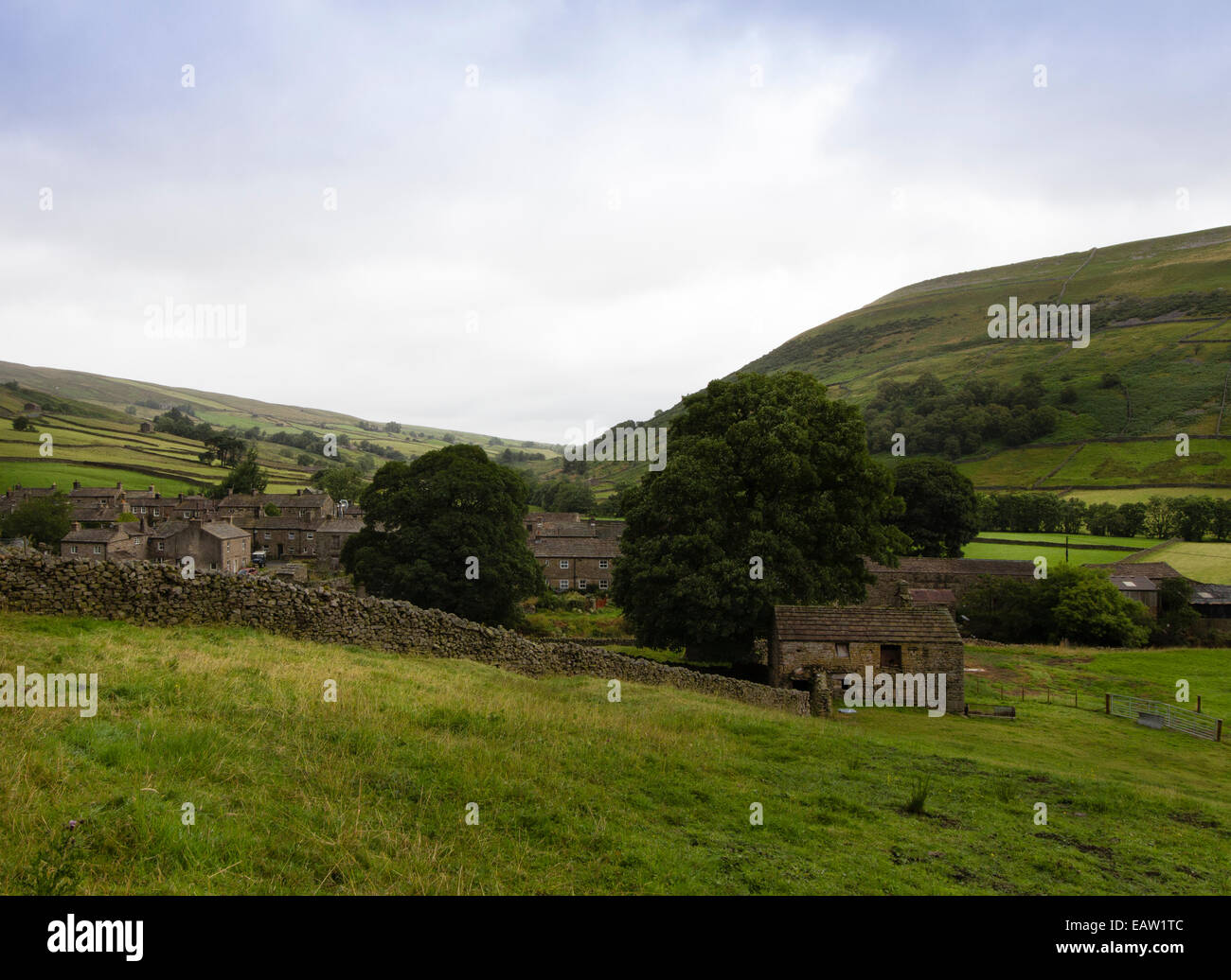 A typical Yorkshire Dales scene with dry stone walls and a stone barn ...