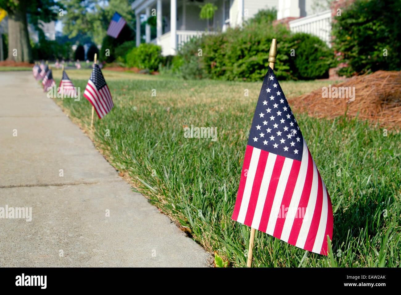 American Flags are placed in a row in celebration of the upcoming ...