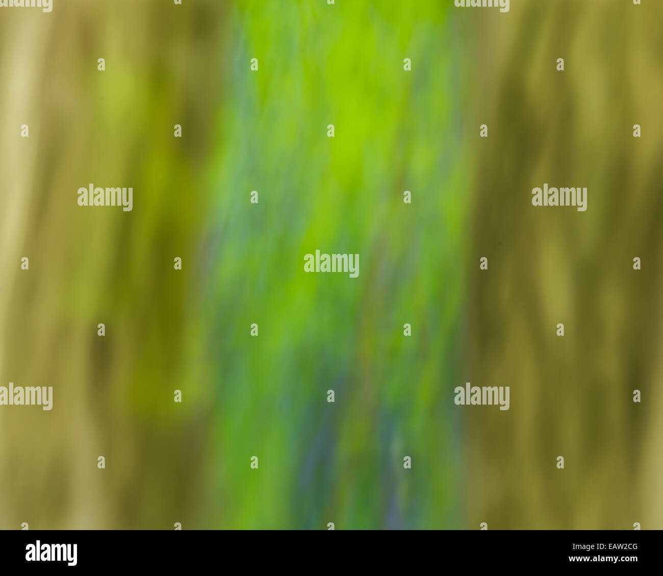 Abstract study of a Bluebell Woods Stock Photo - Alamy