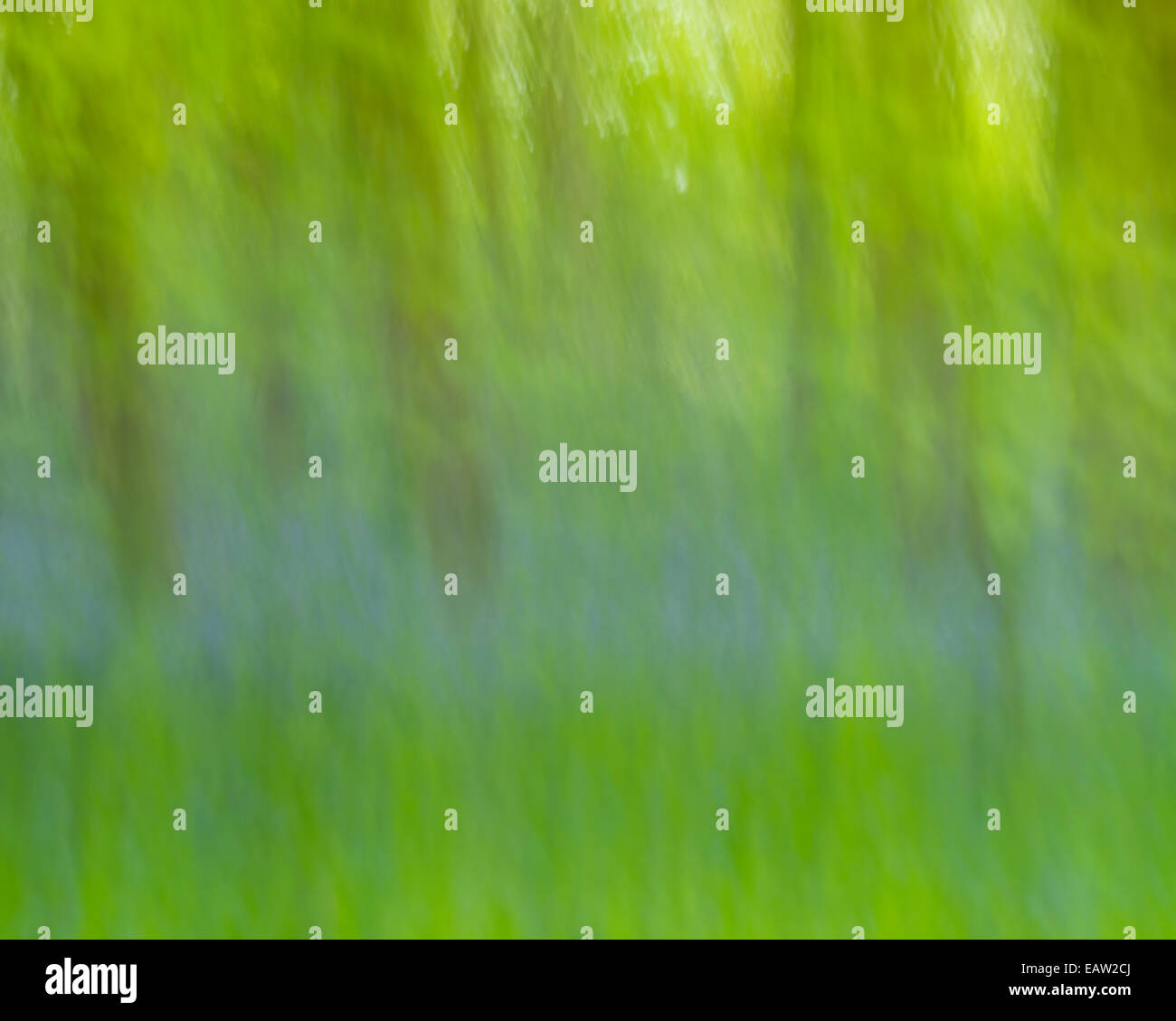 Abstract study bluebell woods hi-res stock photography and images - Alamy