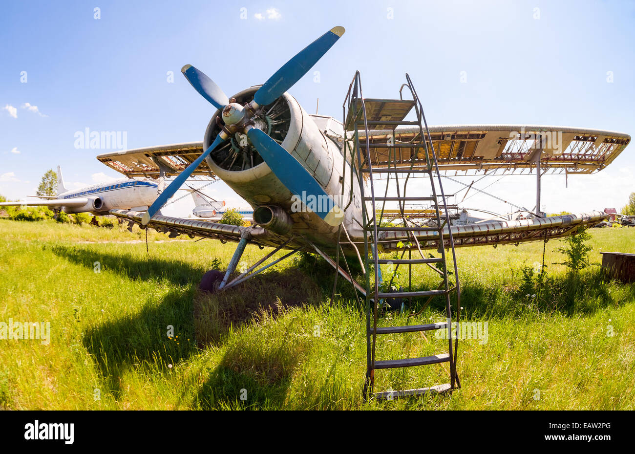 Old russian aircraft An-2 at an abandoned aerodrome in summertime Stock Photo - Alamy