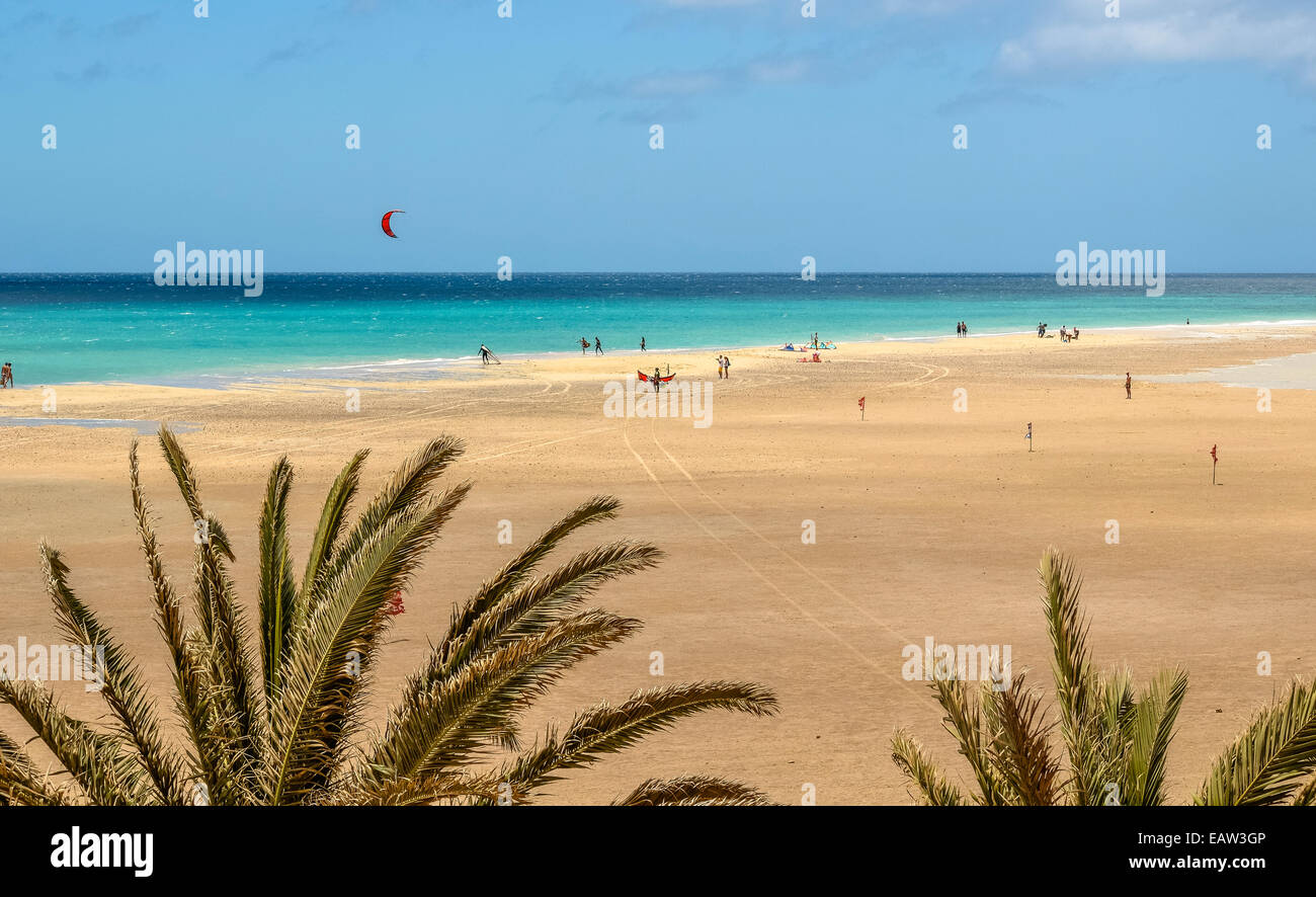 Sotavento beach in Fuerteventura, Canary Islands, its popular with ...
