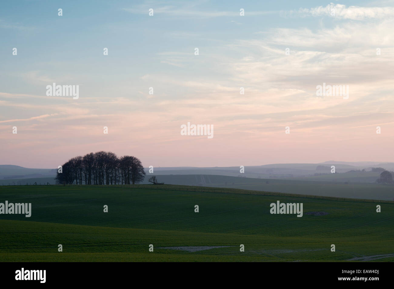 Wiltshire countryside hi-res stock photography and images - Alamy