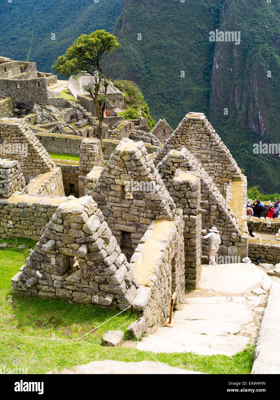 The Incan ruins of Machu Picchu, near Aguas Calientes, Peru Stock Photo ...