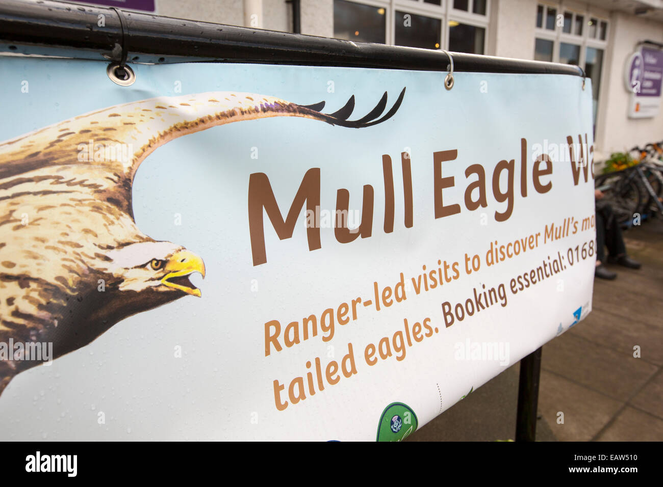 Mull birdwatching hi-res stock photography and images - Alamy