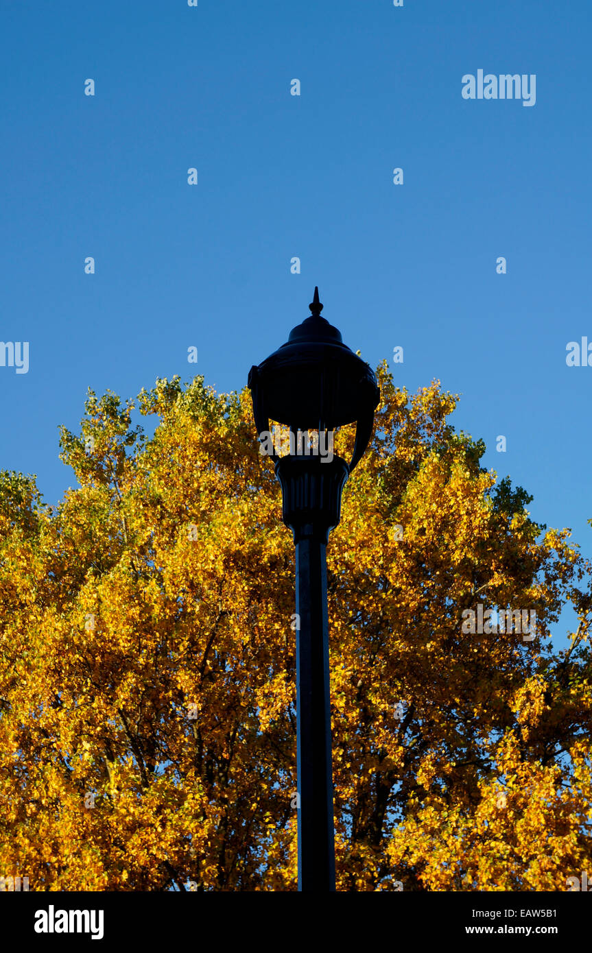 Metal streetlight hi-res stock photography and images - Alamy