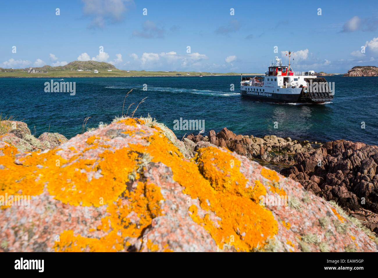 Lichen covered granite boulders at Fionnphort Isle of Mull, Scotland ...