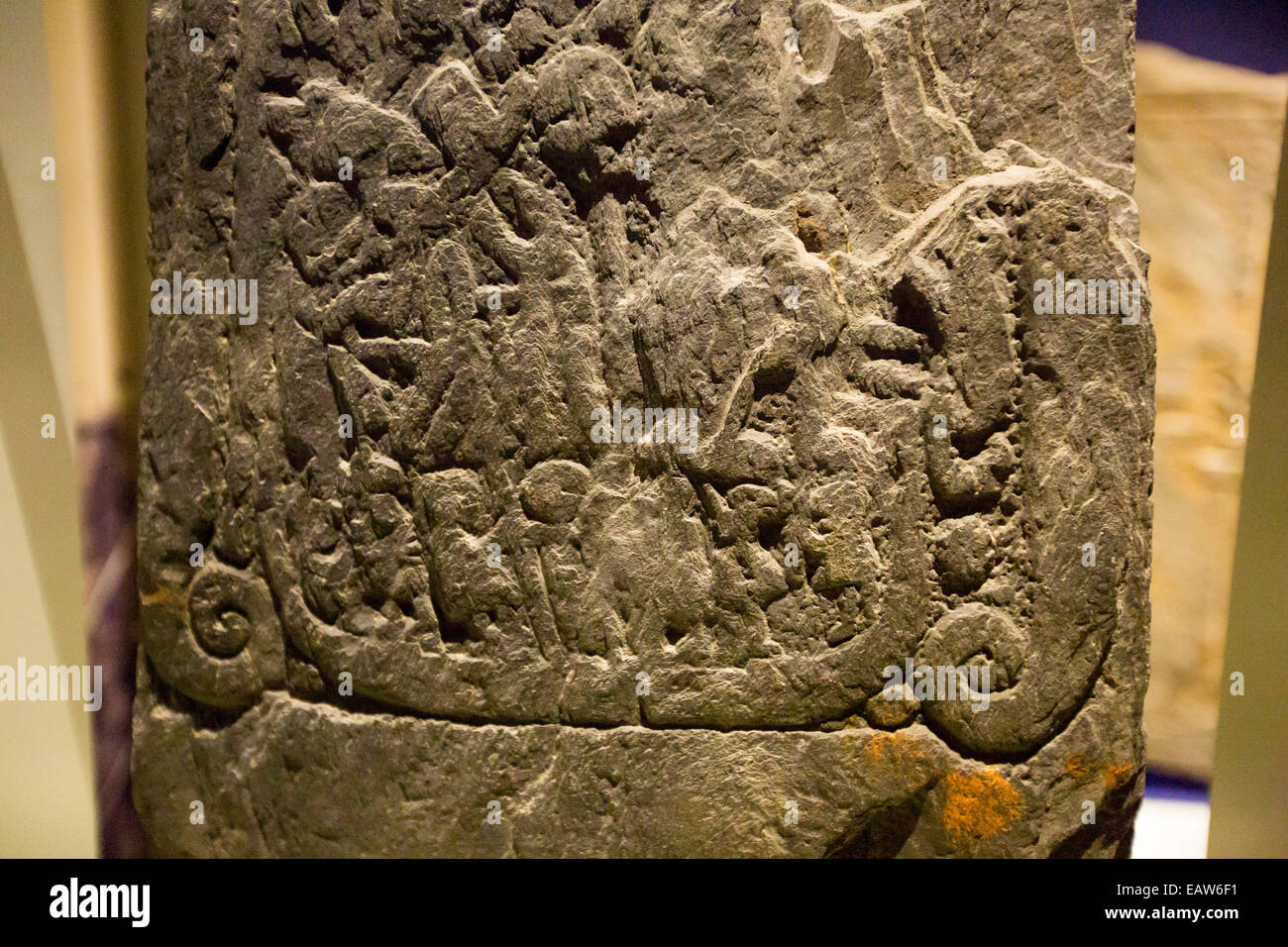Ancient preserved grave slabs in Iona Abbey on Iona, off Mull, Scotland ...