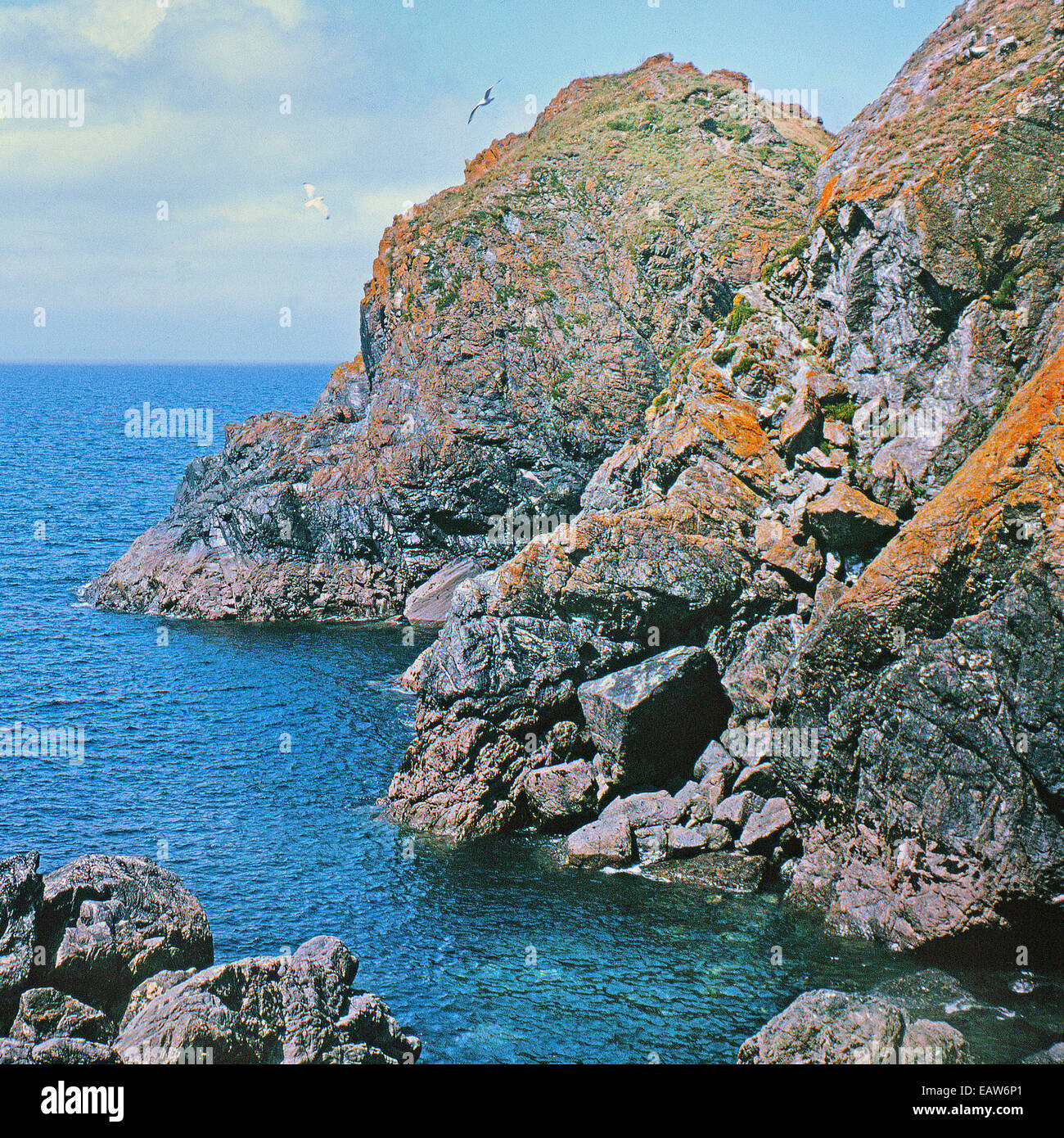 Lichen covered rocks on Cornish coast near Lizard Stock Photo - Alamy