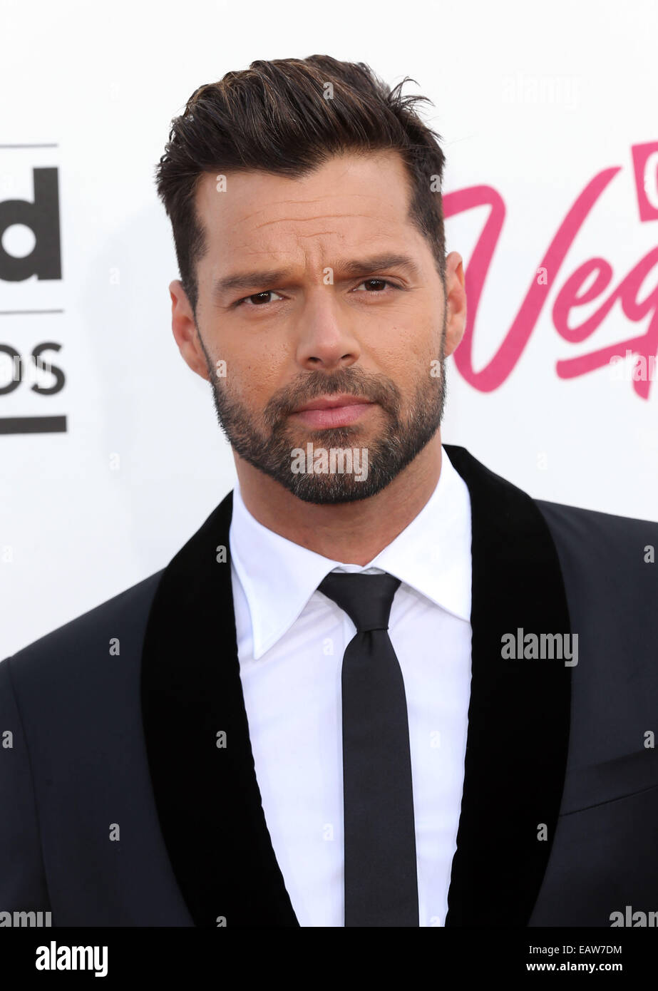 2014 Billboard Awards Red Carpet at the MGM Grand Resort Hotel and ...