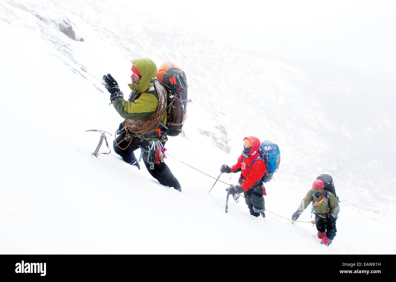 Cold wind in winter Cut Out Stock Images & Pictures - Alamy