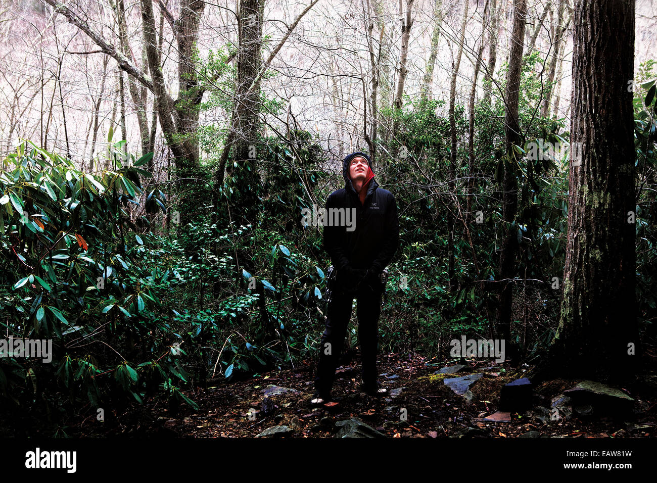 A man prepares to climb a route in the woods of West Virginia Stock ...