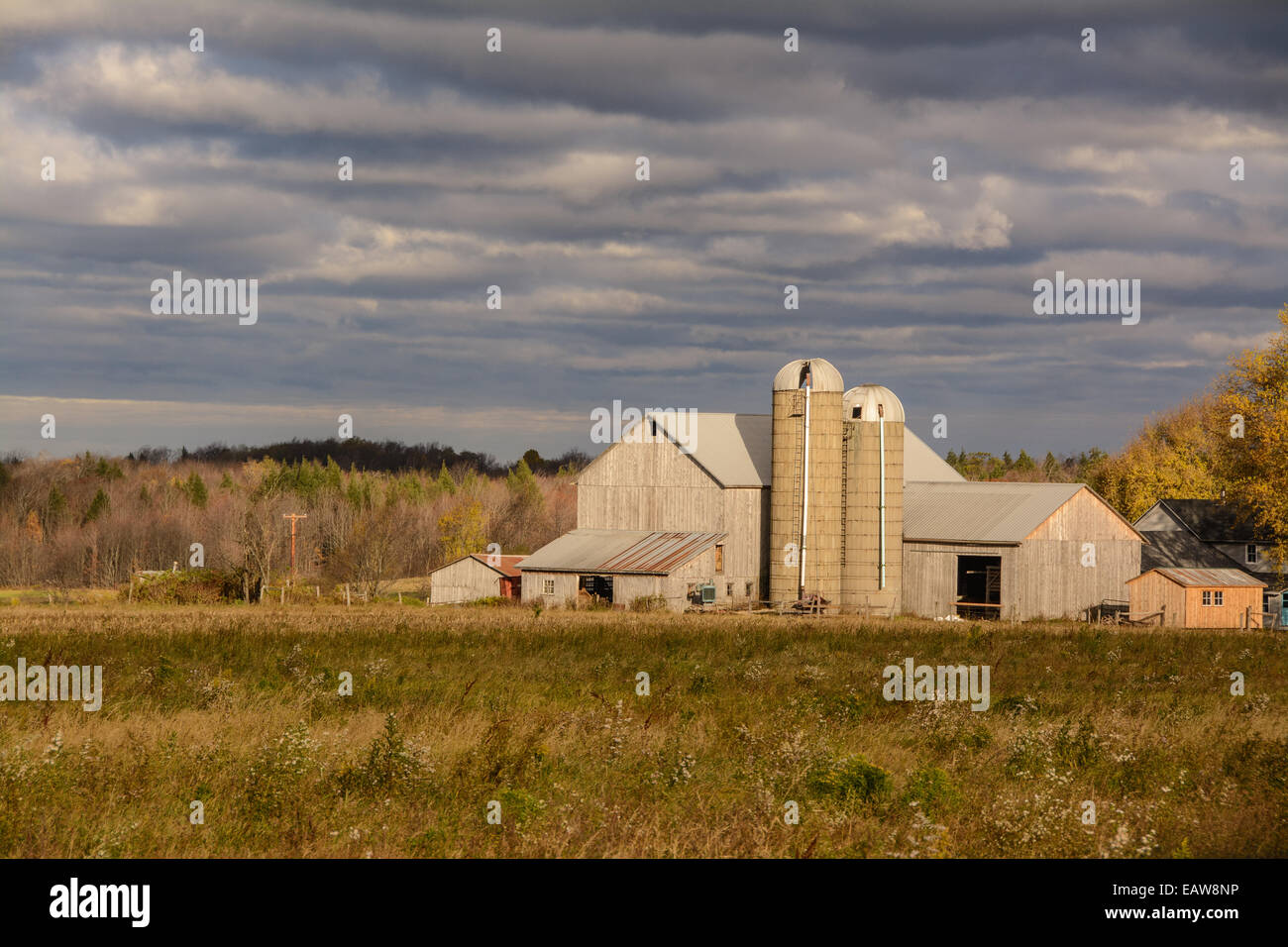 Barn on farm taken during hi-res stock photography and images - Alamy
