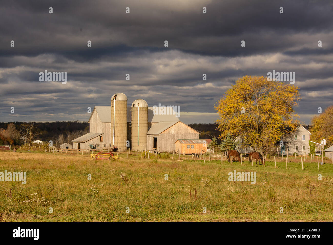 Barn on a farm taken during an early fall morning Stock Photo - Alamy