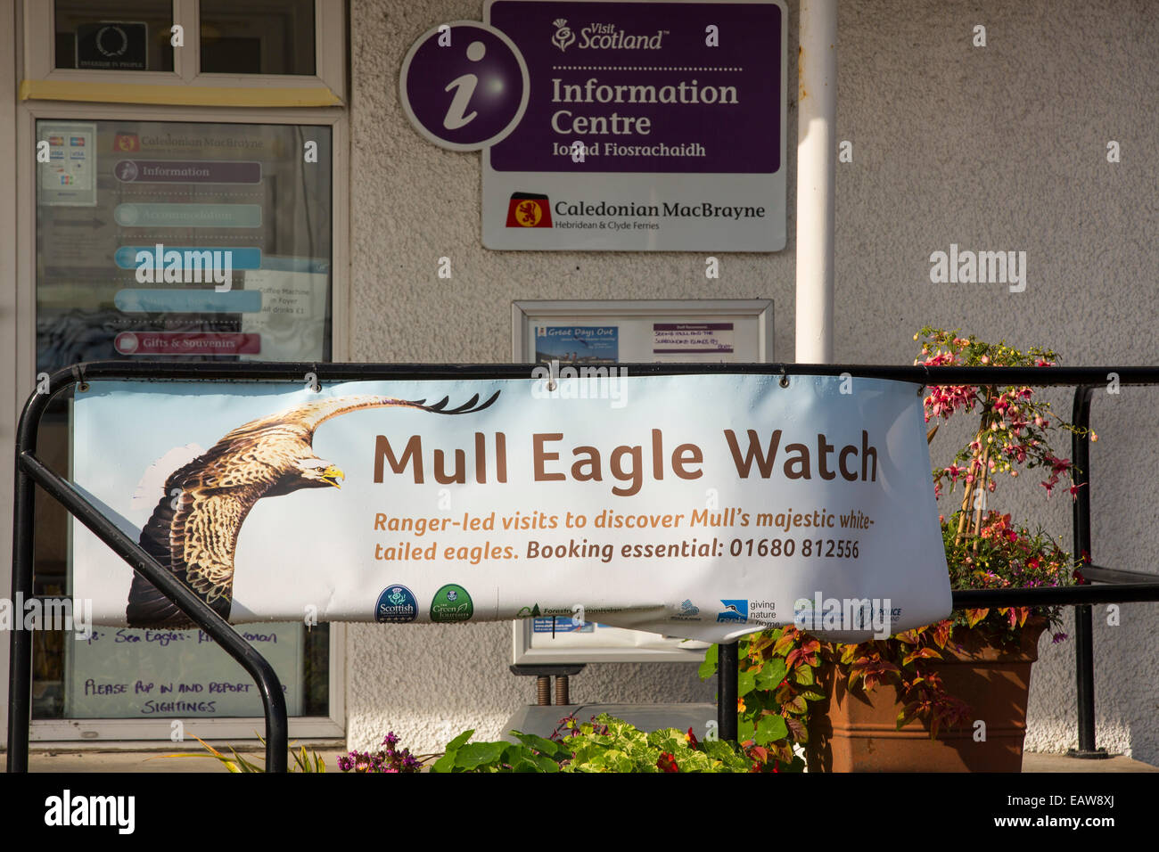A Mull Eagle Watch poster on Mull, Scotland, UK Stock Photo - Alamy