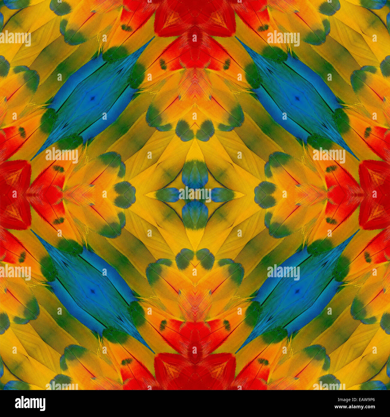 Beautiful background pattern made from Scarlet Macaw feathers Stock ...