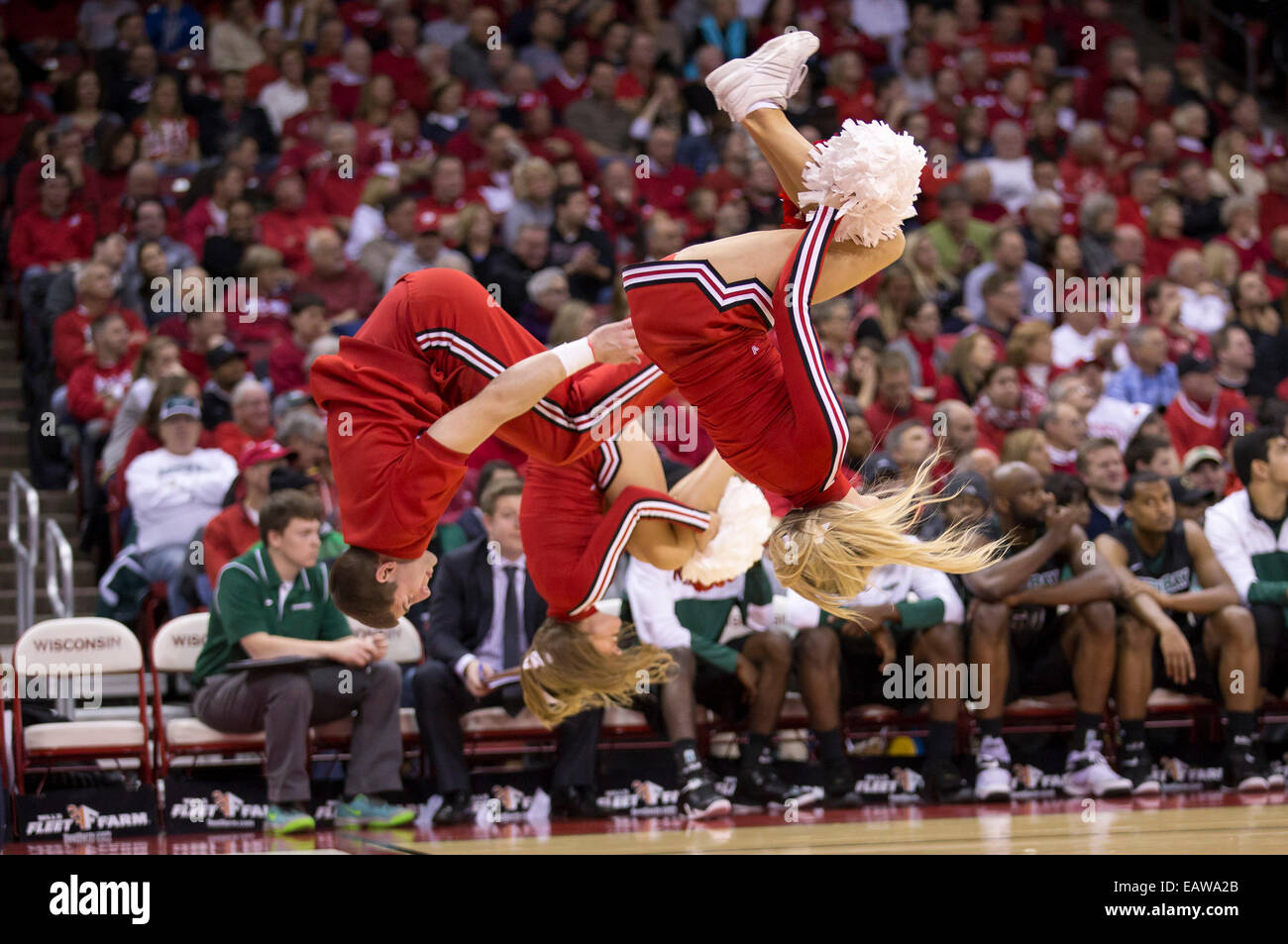 November 19, 2014: Cheerleaders due a back flip after a made free throw ...