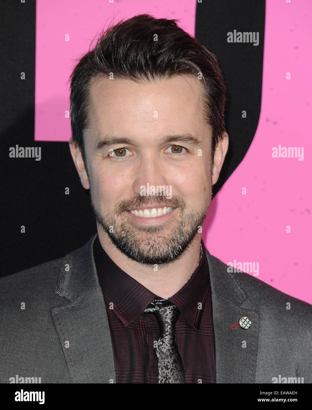 Los Angeles, California, USA. 20th Nov, 2014. Rob McElhenney attending ...