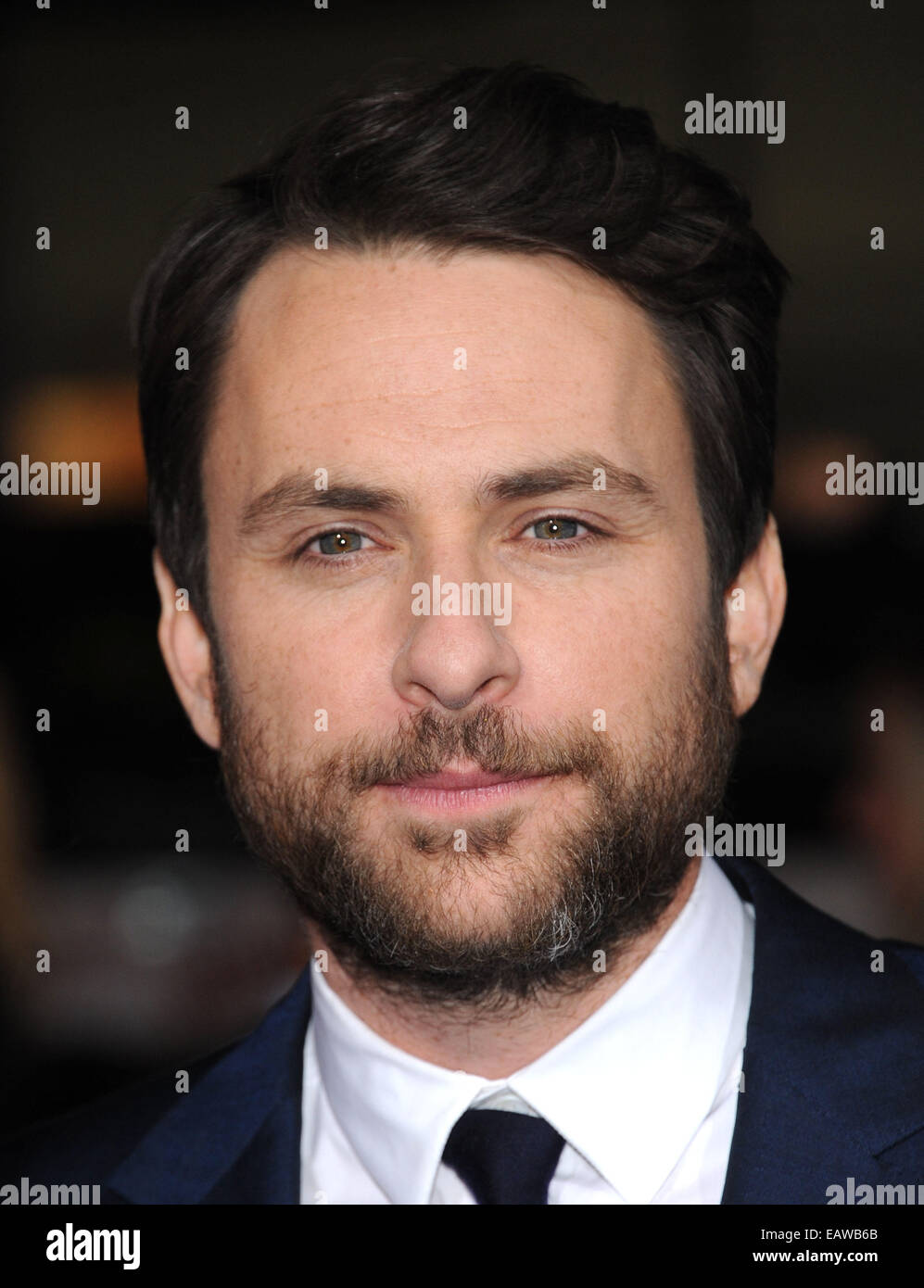 Hollywood, California, USA. 20th Nov, 2014. Charlie Day arrives for the ...