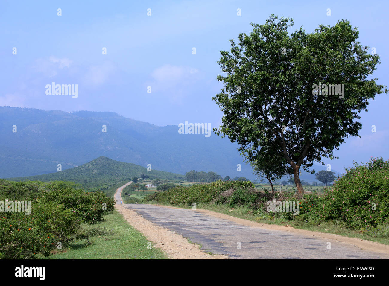 Indian road hi-res stock photography and images - Alamy