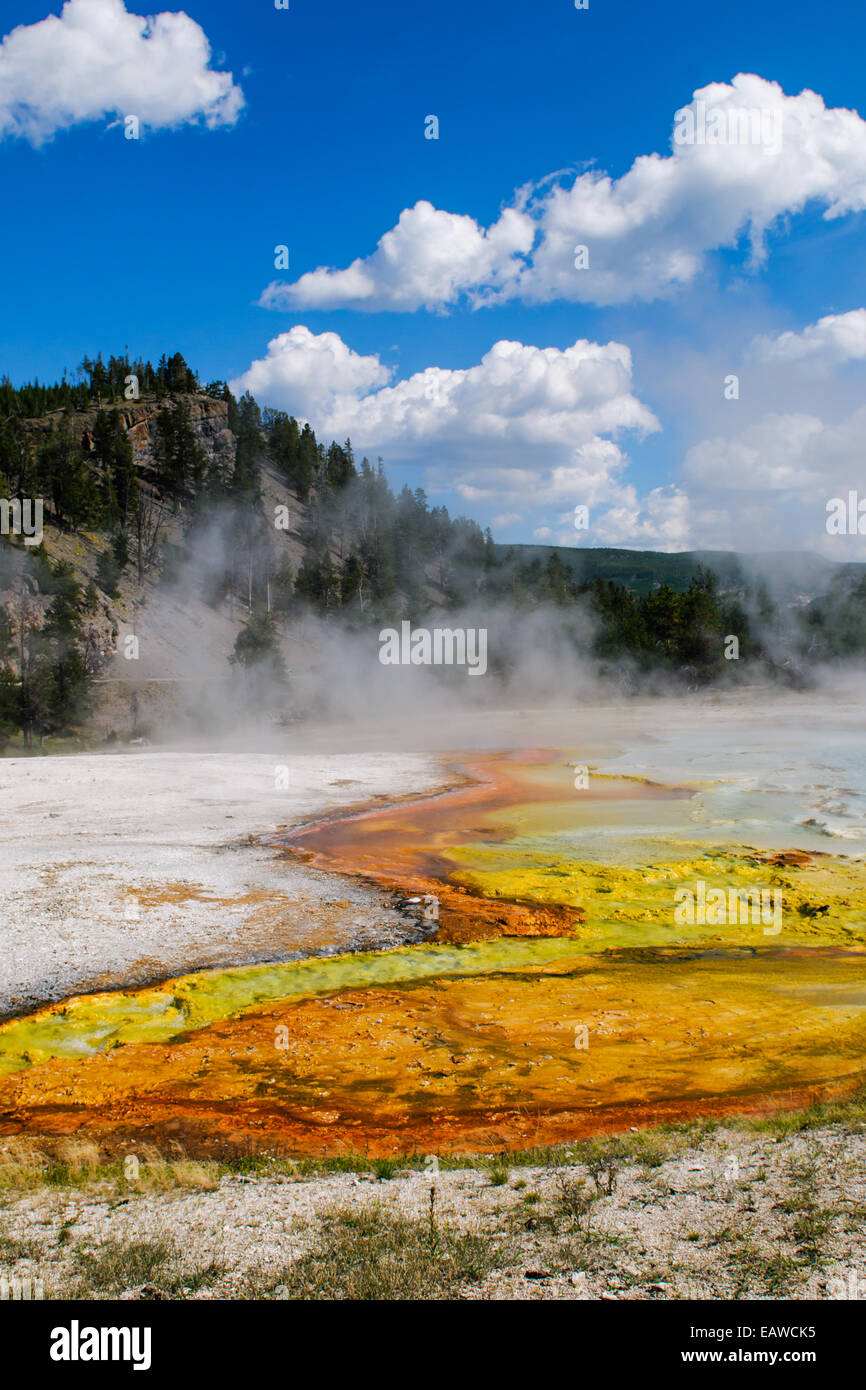 Scenic Landscapes of Geothermal activity of Yellowstone National Park ...