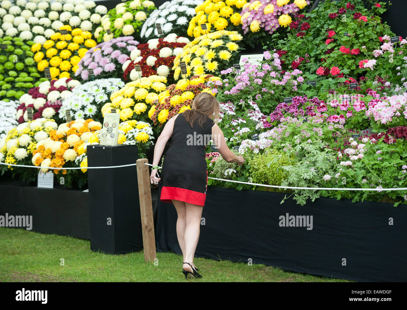 Chelsea Flower Show VIP and Press Preview. Featuring: Atmosphere Where ...