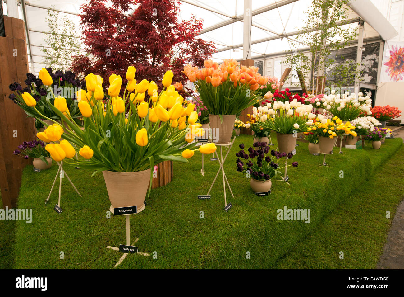 Chelsea Flower Show VIP and Press Preview. Featuring: Atmosphere Where ...