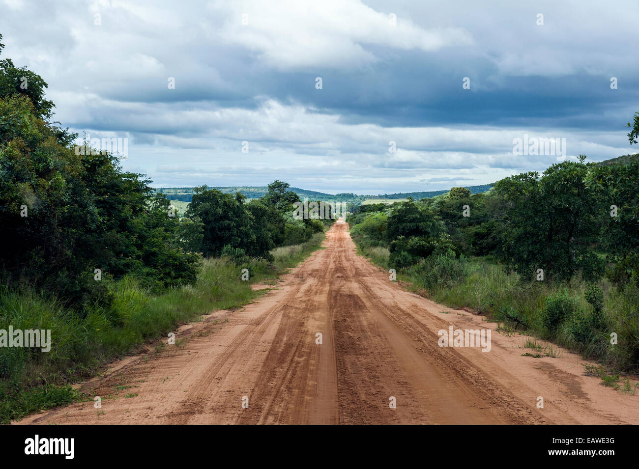 A sandy track heads across a savannah plain beneath storm clouds Stock ...