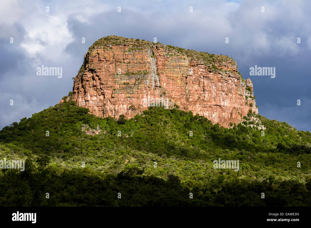 A rugged escarpment cliff face surrounded by a dense forest canopy ...