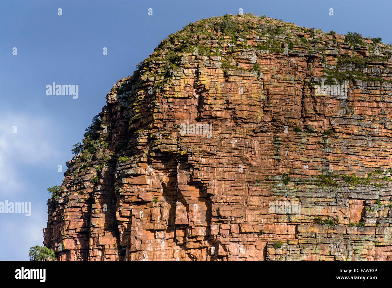 Hardy lichens and grass tussocks cling to a sheer rocky cliff face ...