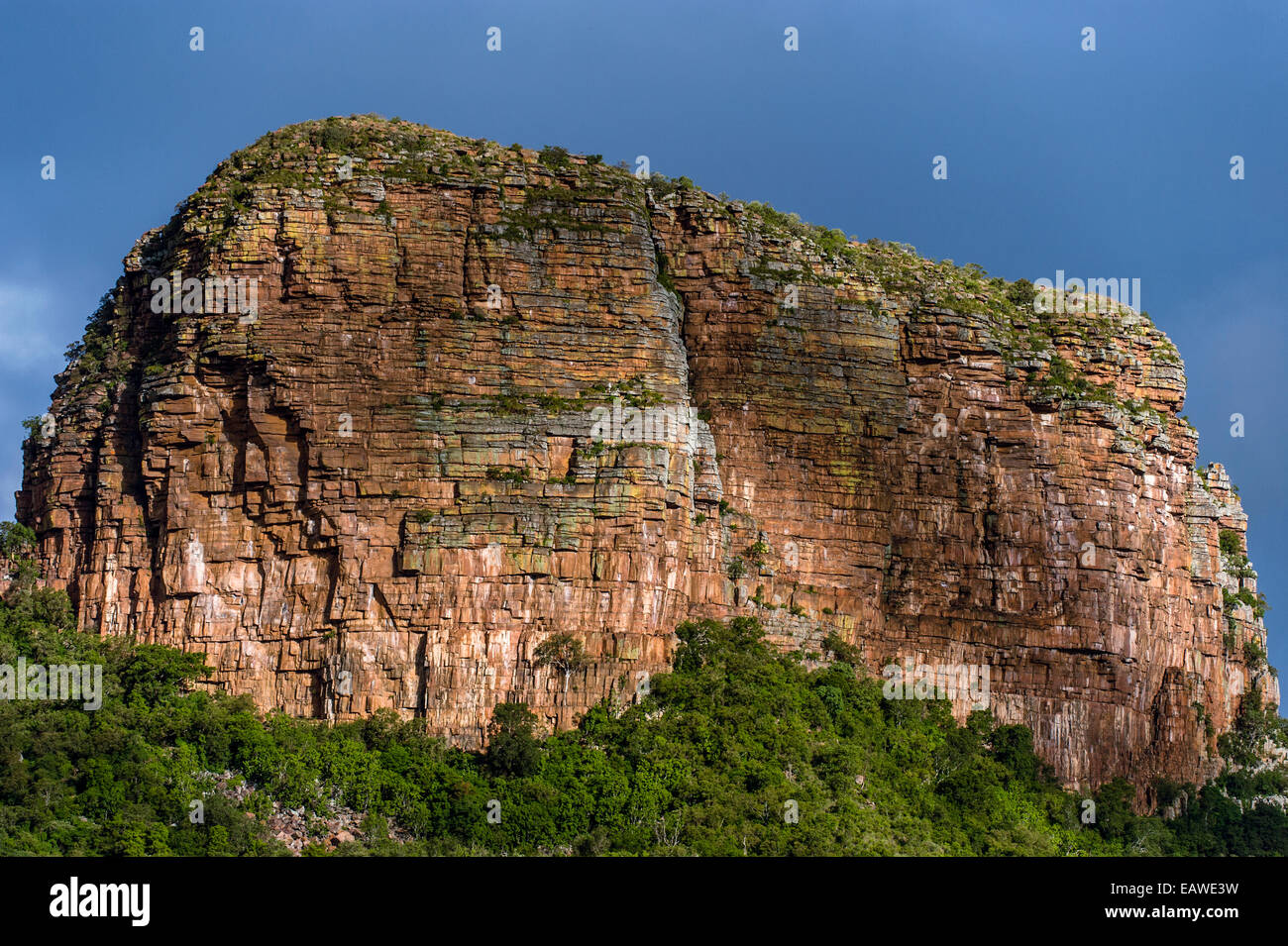 A rugged escarpment cliff face surrounded by a dense forest canopy ...